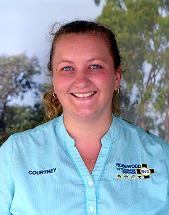 About Us - Rosewood Vet